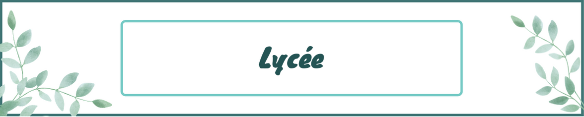 SetJ / H,NetB Lycée – CPIE Seuil du poitou