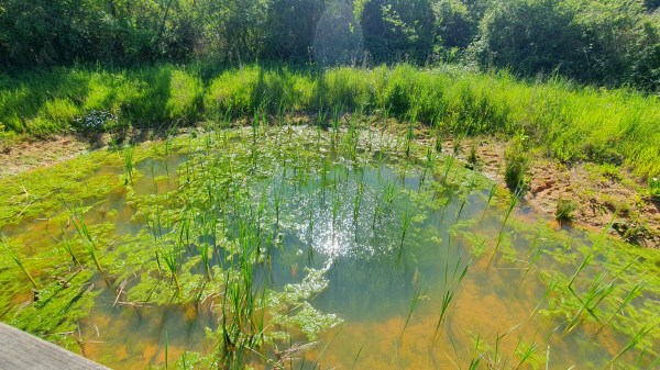 Les Aires Terrestres Éducatives – CPIE Seuil du poitou