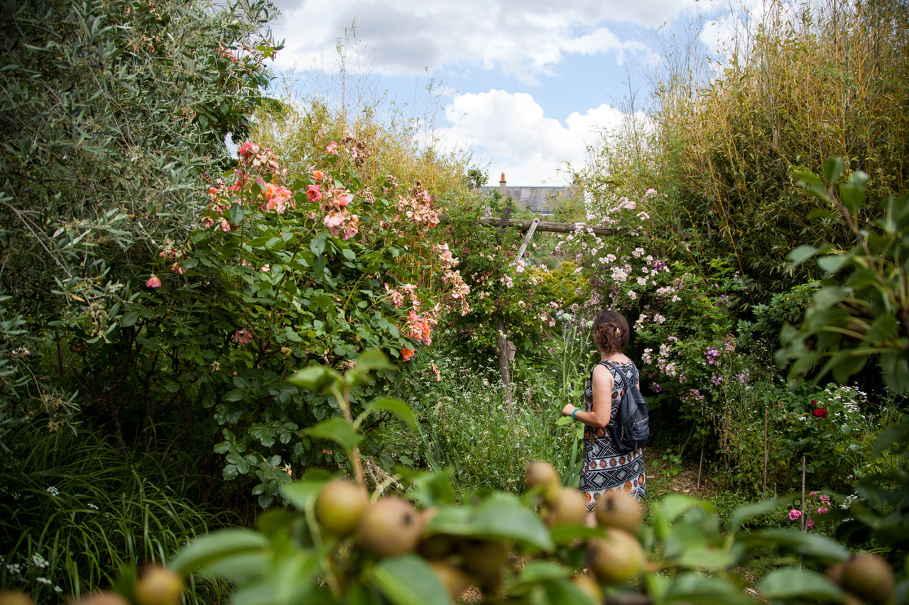 Bienvenue dans mon jardin au naturel – CPIE Seuil du poitou